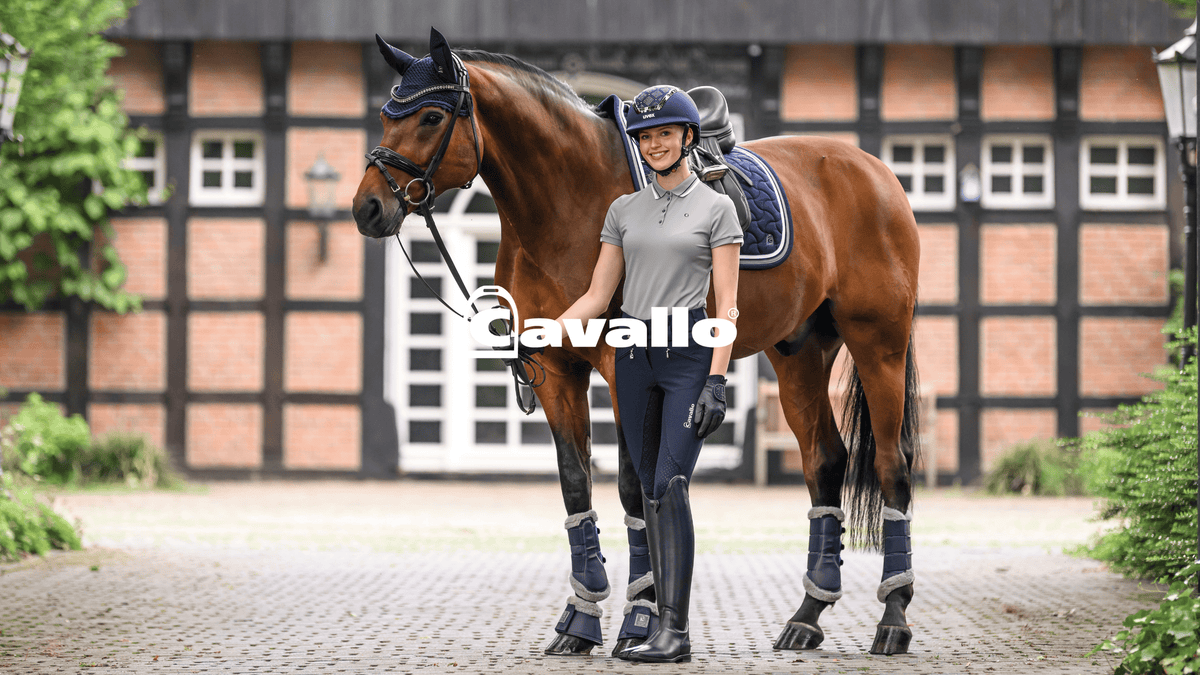 Shop Cavallo Equestrian Riding Apparel, Saddle Pads + Horse Clothing – RIDE OR DIE EQUESTRIAN SHOP